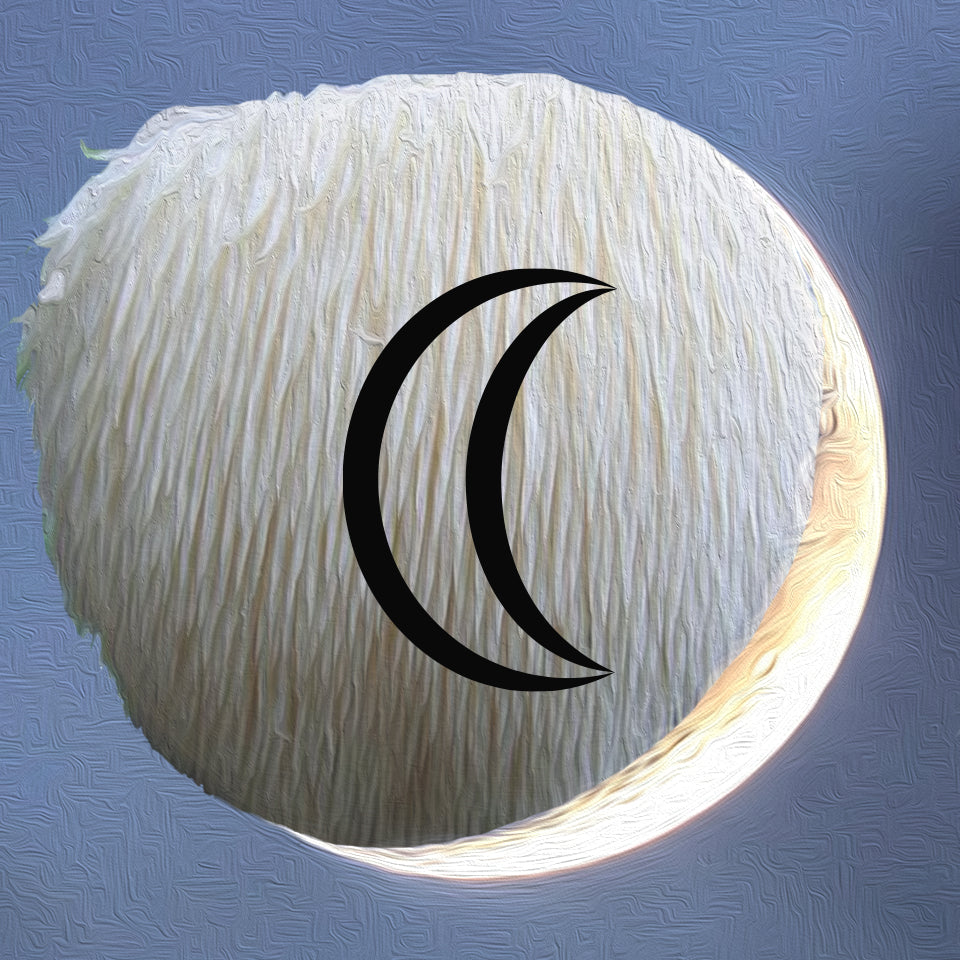 Doctrine Of Signatures – Feral Fungi