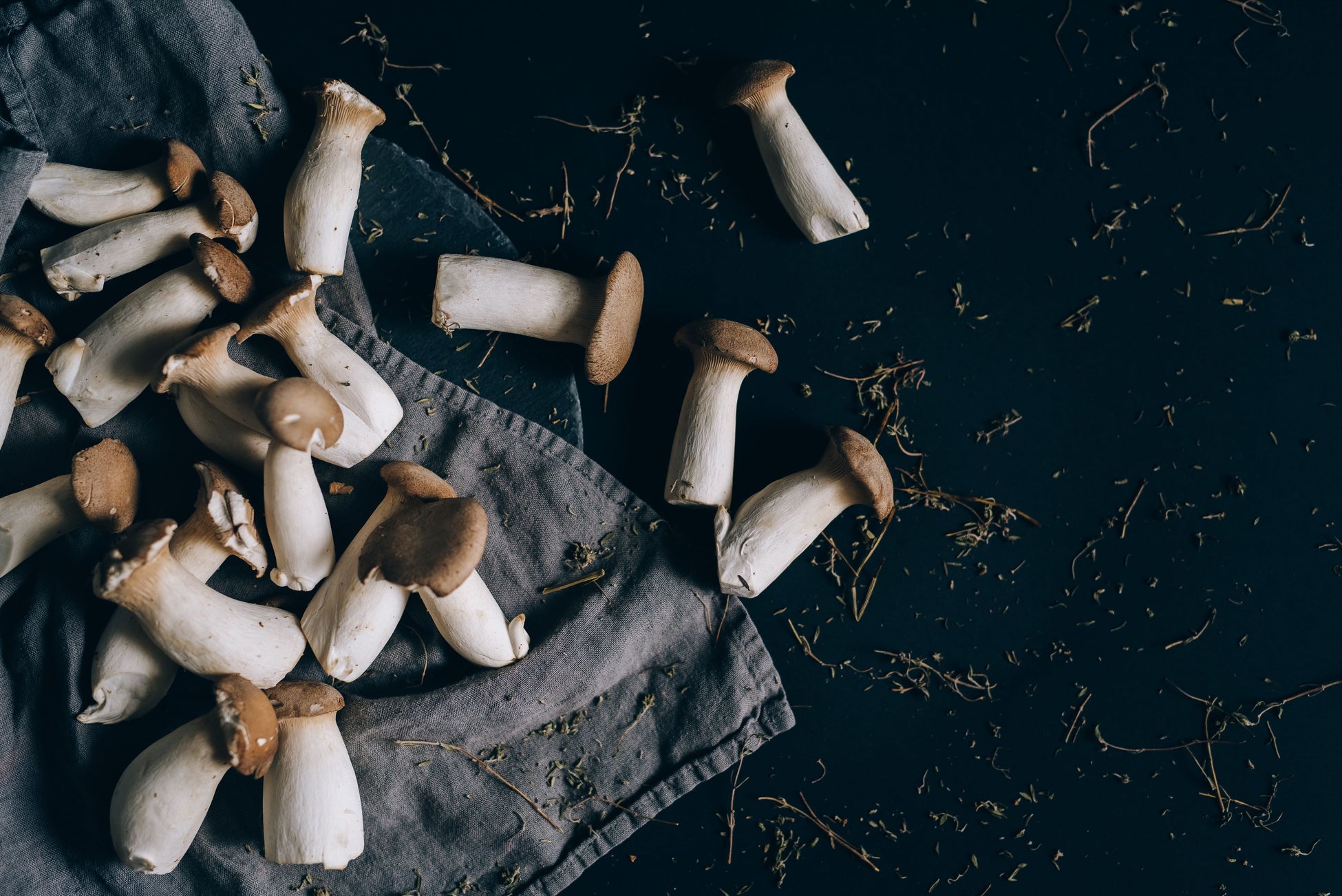 Mushrooms For Sports: Pre-workout, Performance, Recovery – Feral Fungi