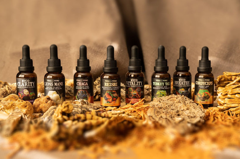 How To Make Tinctures: Step-by-Step – Feral Fungi
