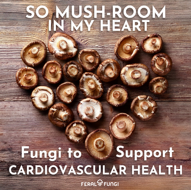 So Mush-room in My Heart: Fungi to Support Cardiovascular Health ...