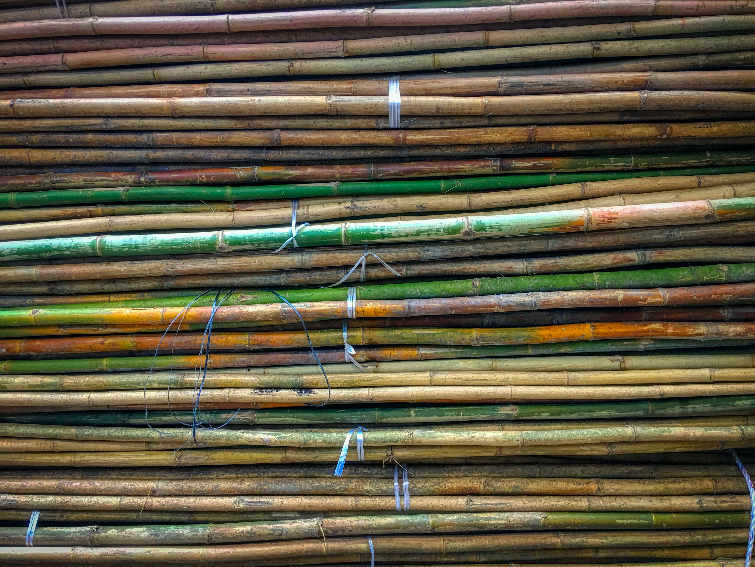 What Is Organic Cane Alcohol – Feral Fungi