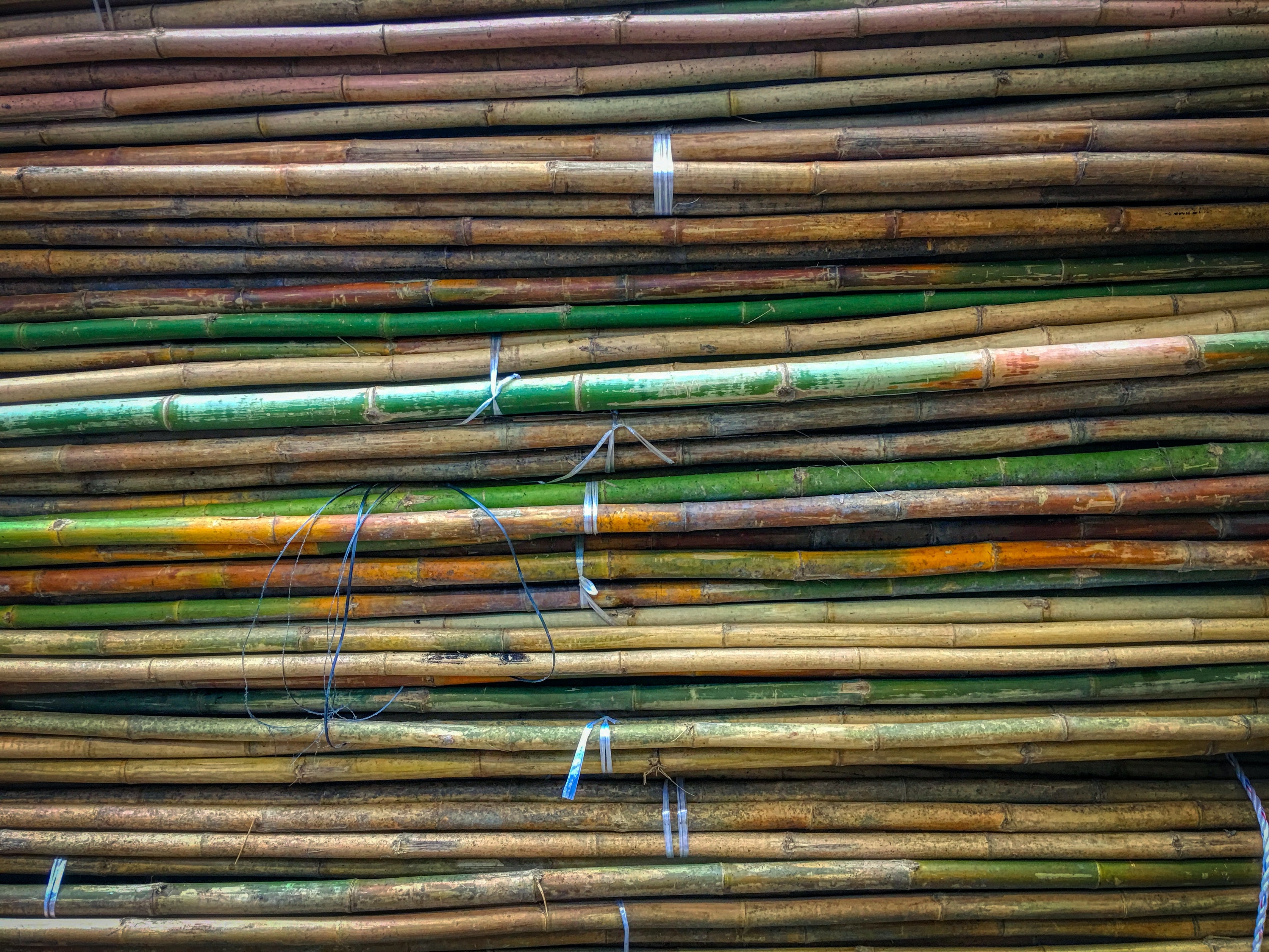 What Is Organic Cane Alcohol – Feral Fungi