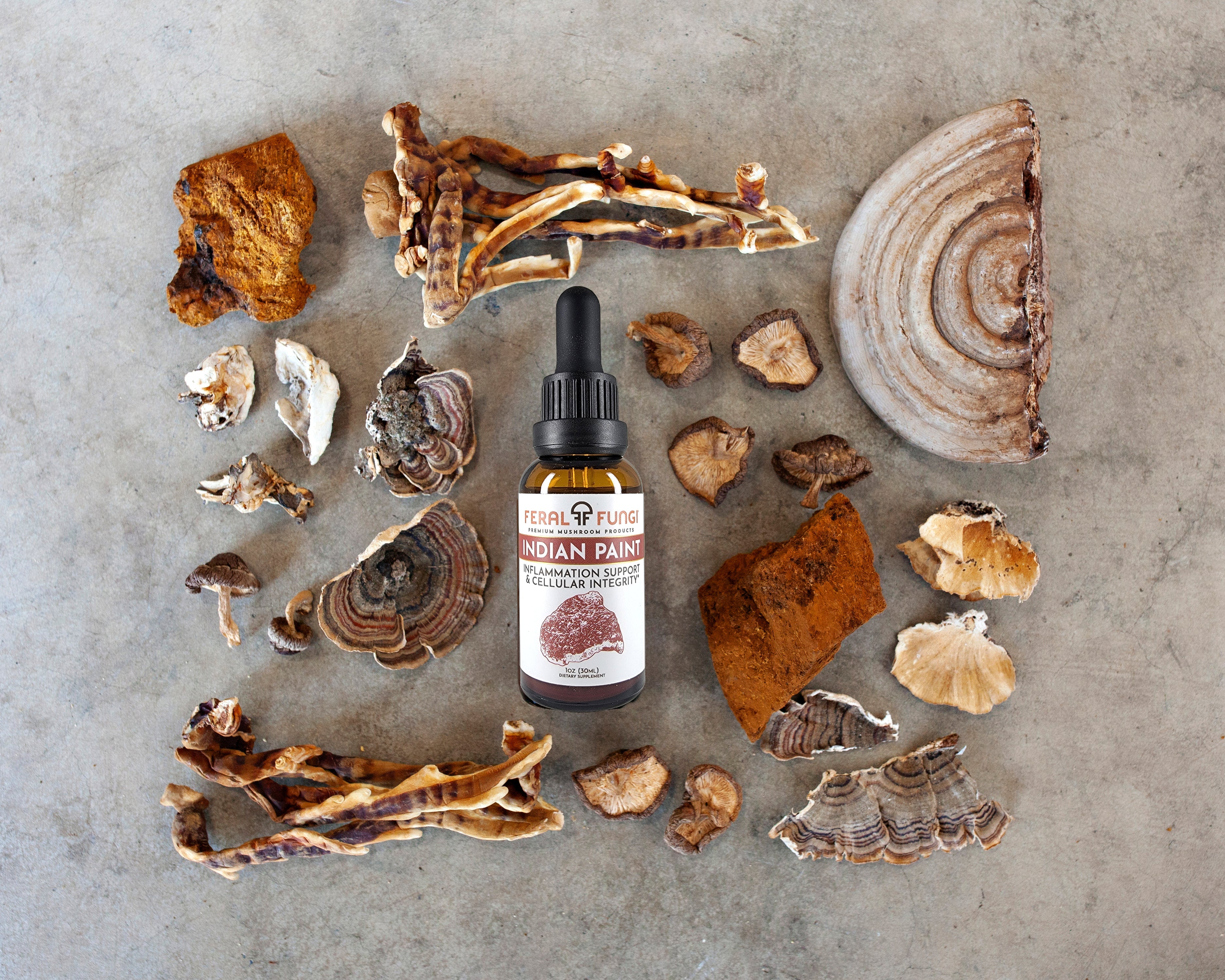 Spagyric Tinctures For Sale – Tagged "Kidney Health" – Feral Fungi