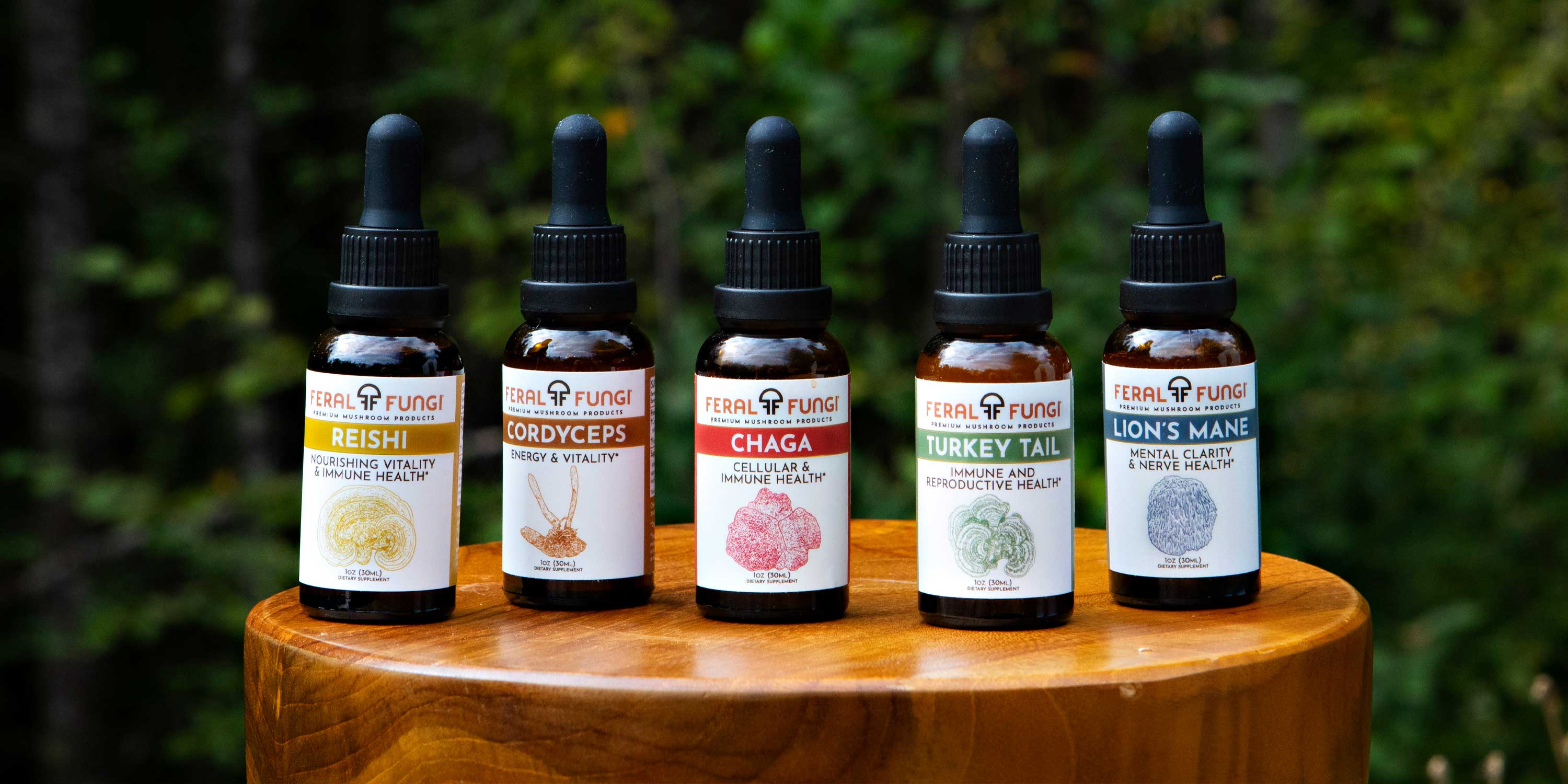 Spagyric Tinctures – Feral Fungi