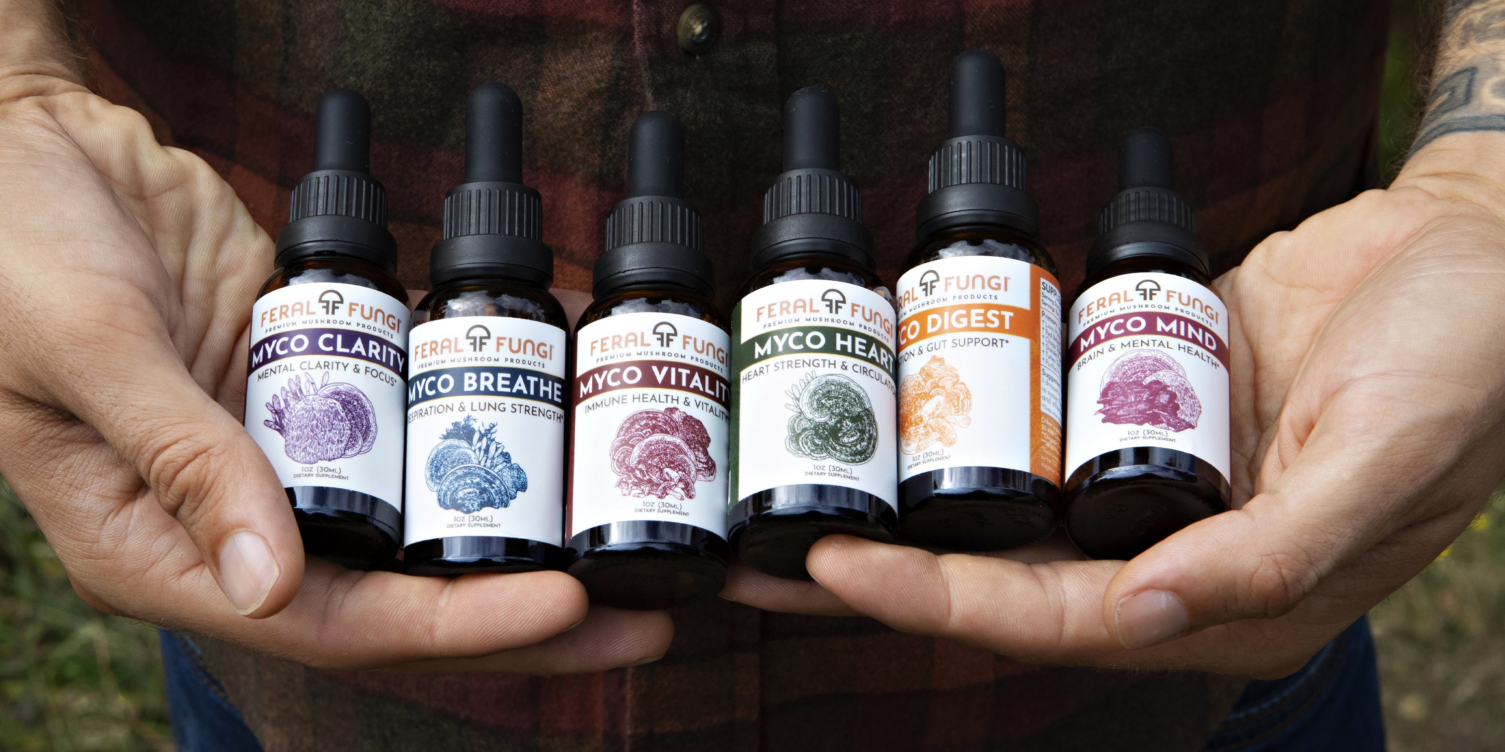 Tincture Blends – Feral Fungi