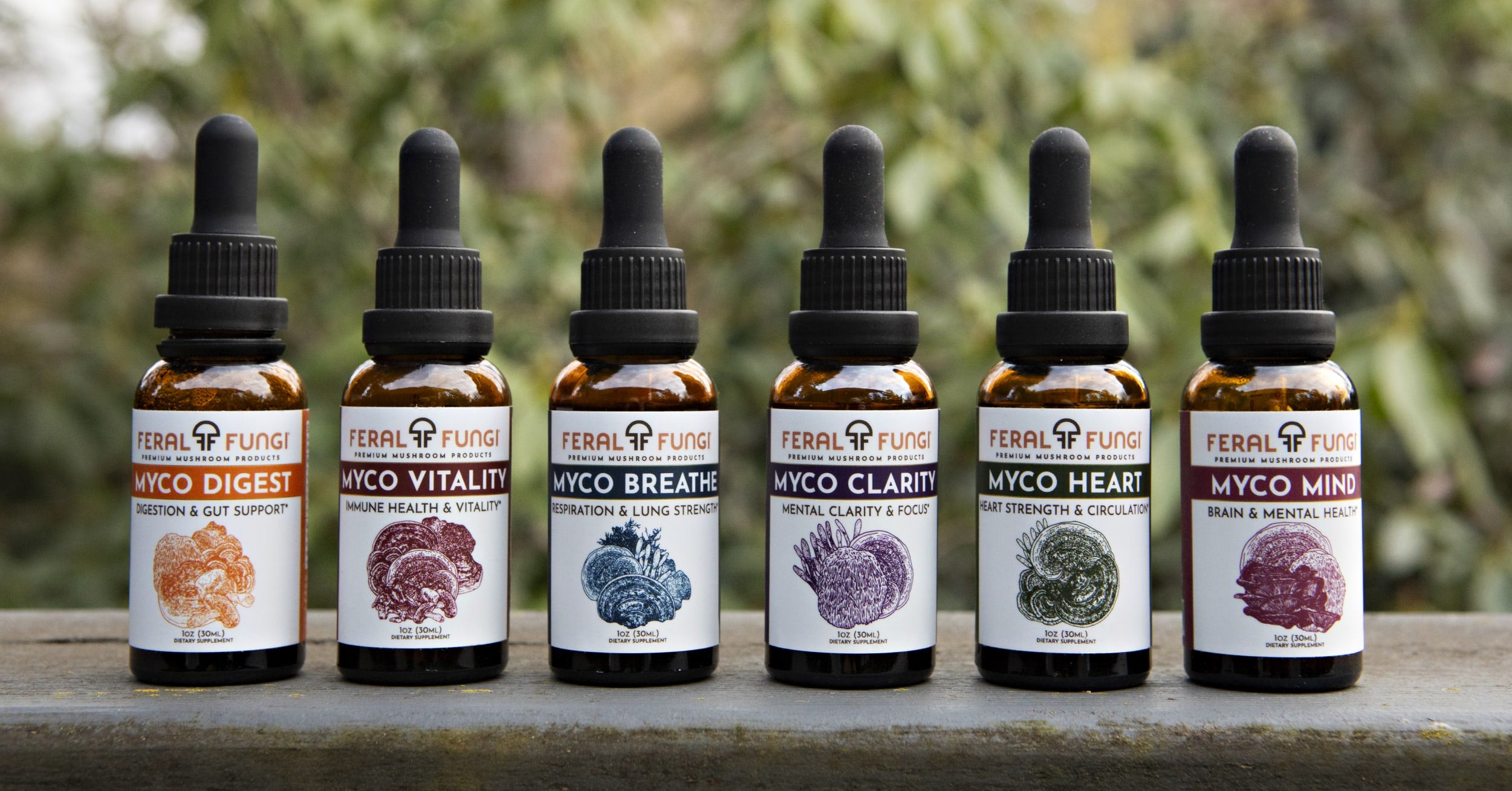 Feral Fungi | Spagyric Mushroom Tinctures – Fruiting Bodies