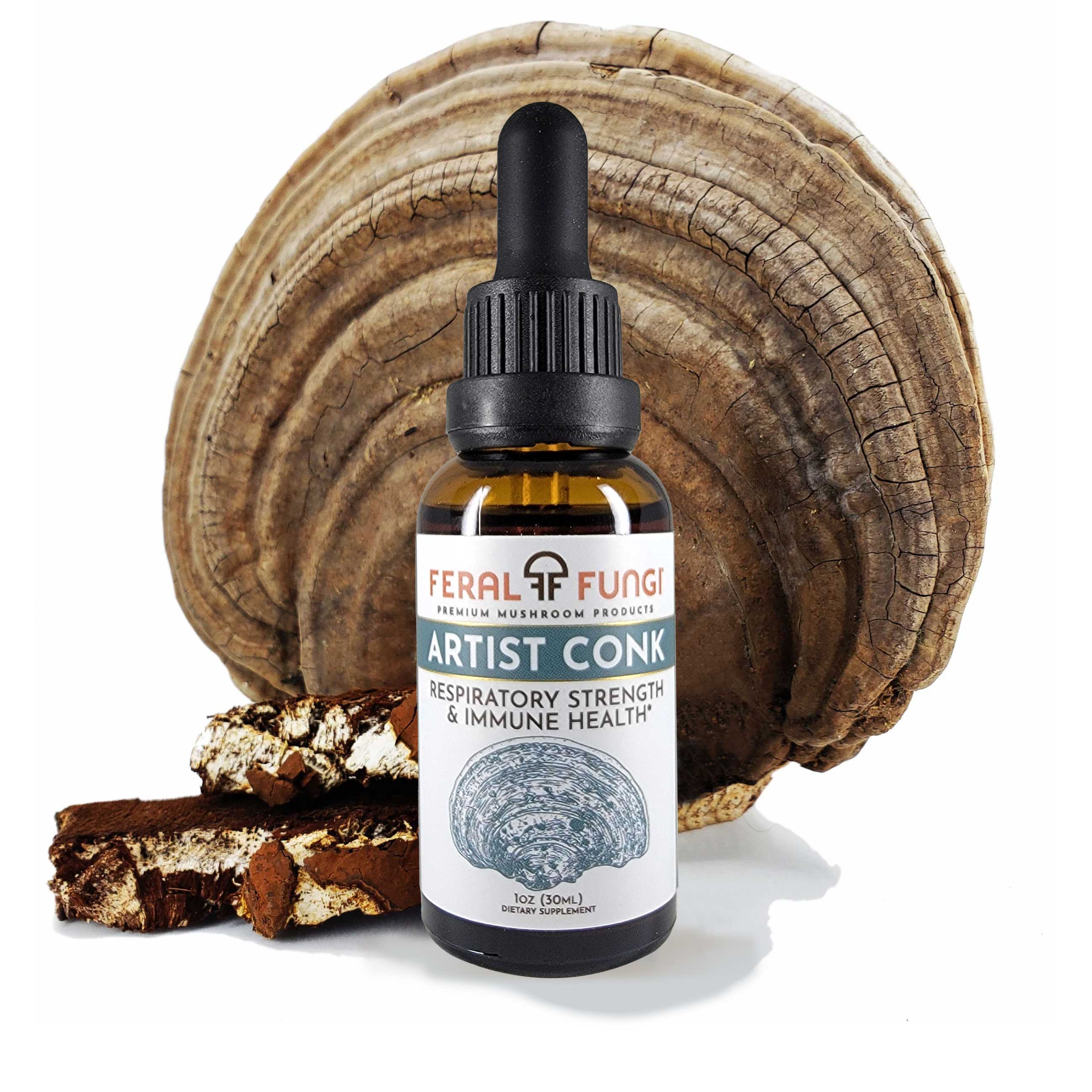 Artist Conk Extract - Spagyric Tincture – Feral Fungi