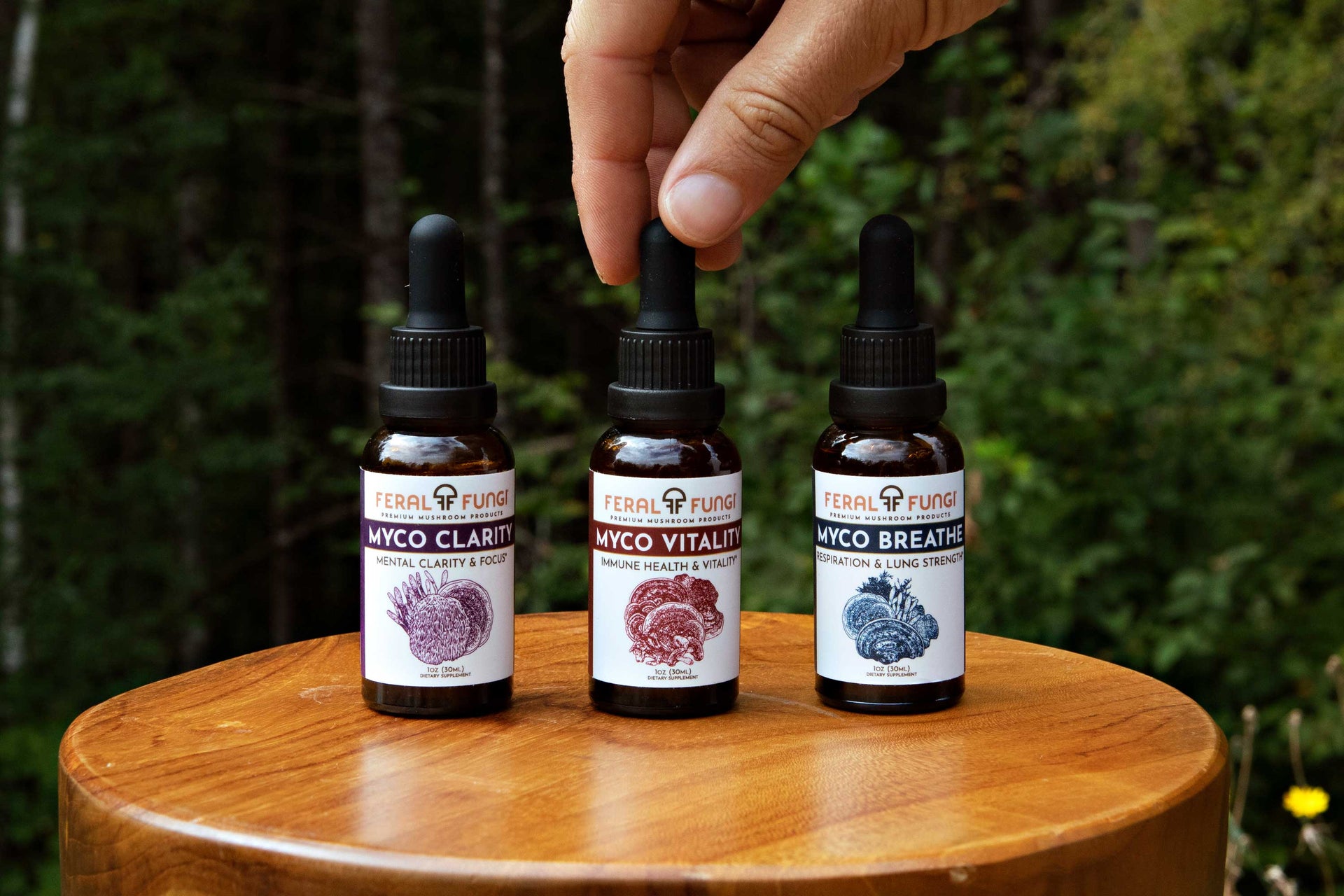 Mushroom Extract – FeralFungi