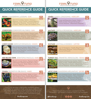 Quick Reference Guide – Feral Fungi