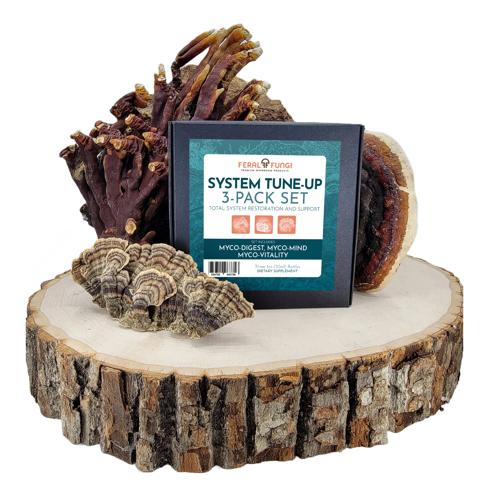System Tune-Up Tincture Set | Whole-Body Wellness | Feral Fungi