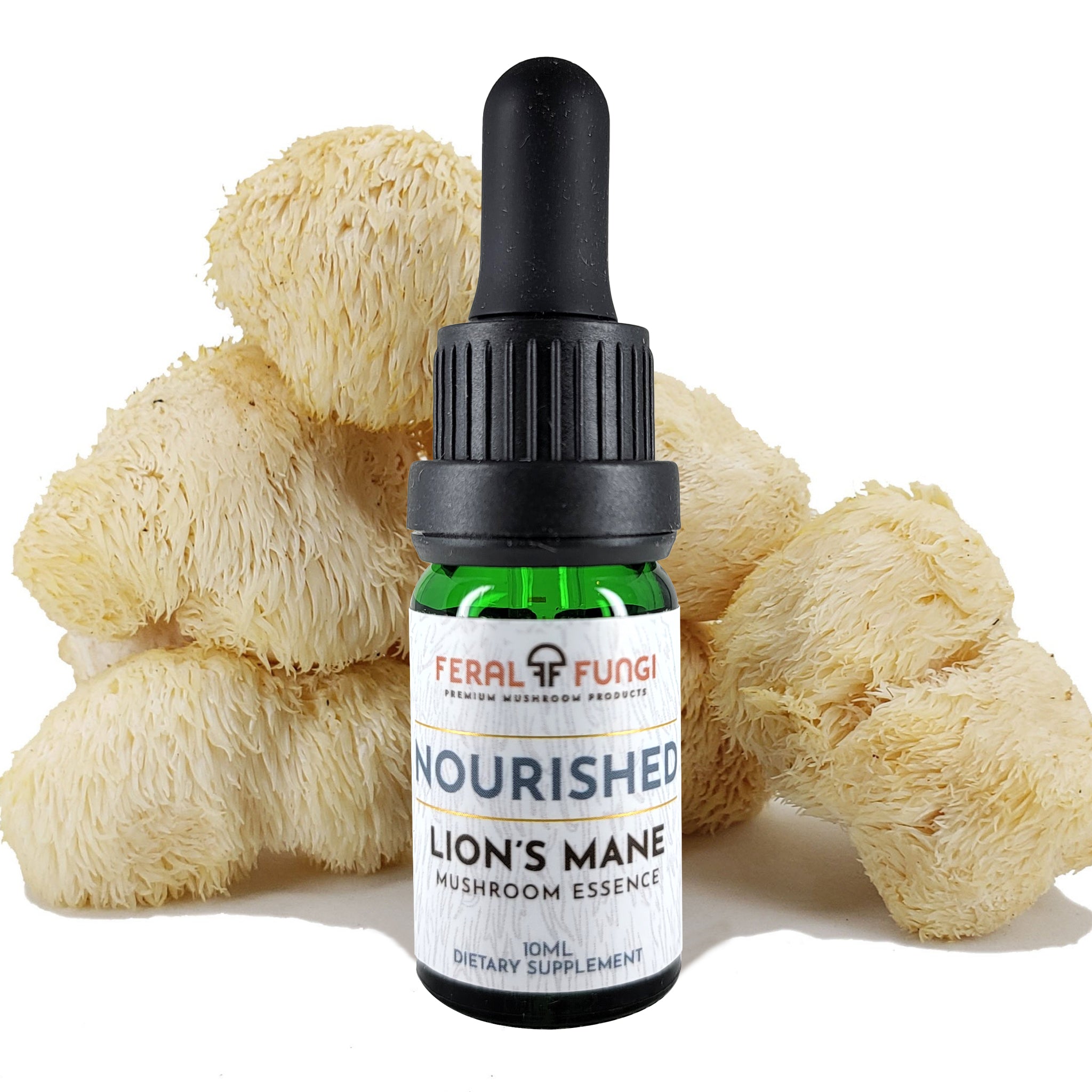Lion's Mane Mushroom Essence | Intuition & Focus | Feral Fungi