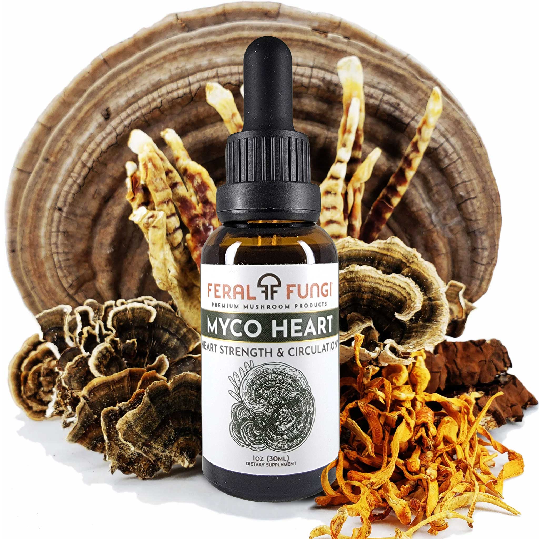 Myco-Heart Spagyric Tincture – Feral Fungi