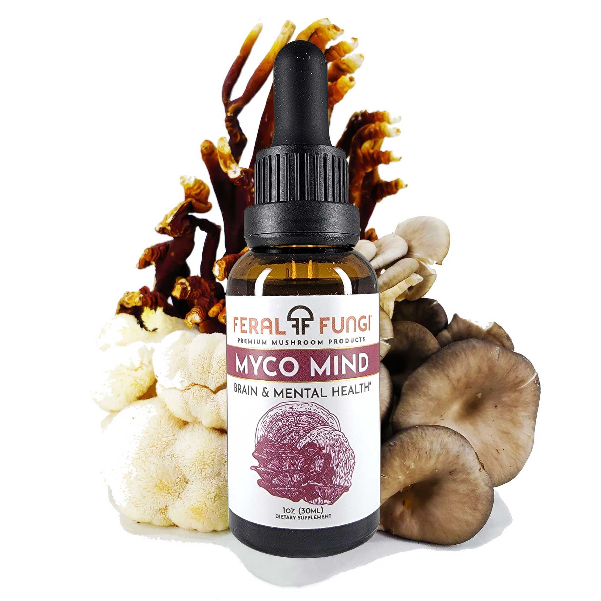 Myco-Mind Spagyric Tincture – Feral Fungi