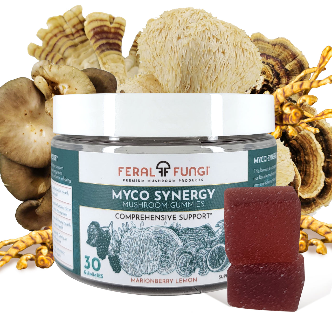 Myco-Synergy Mushroom Gummies – Feral Fungi
