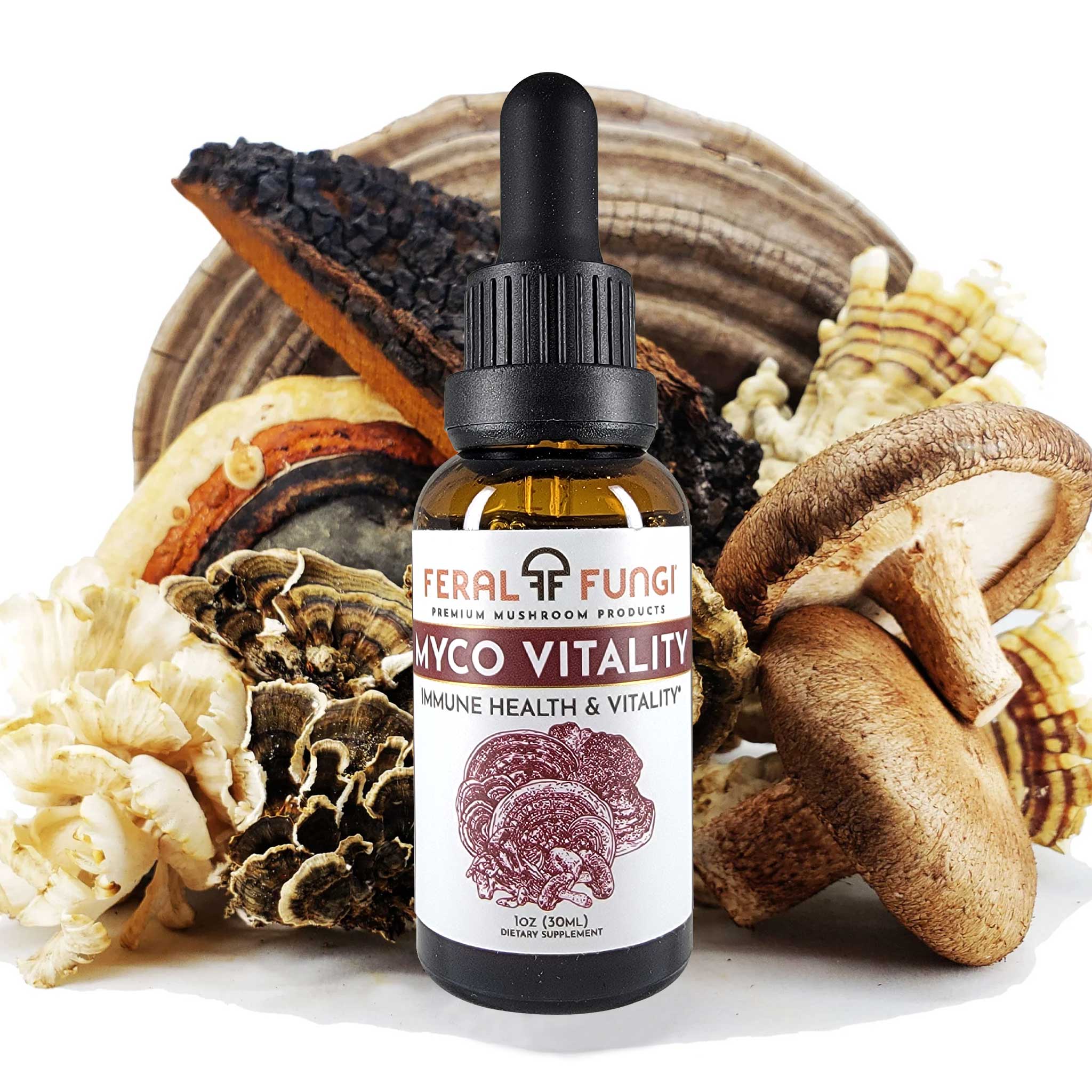 Myco-Vitality Spagyric Tincture – Feral Fungi