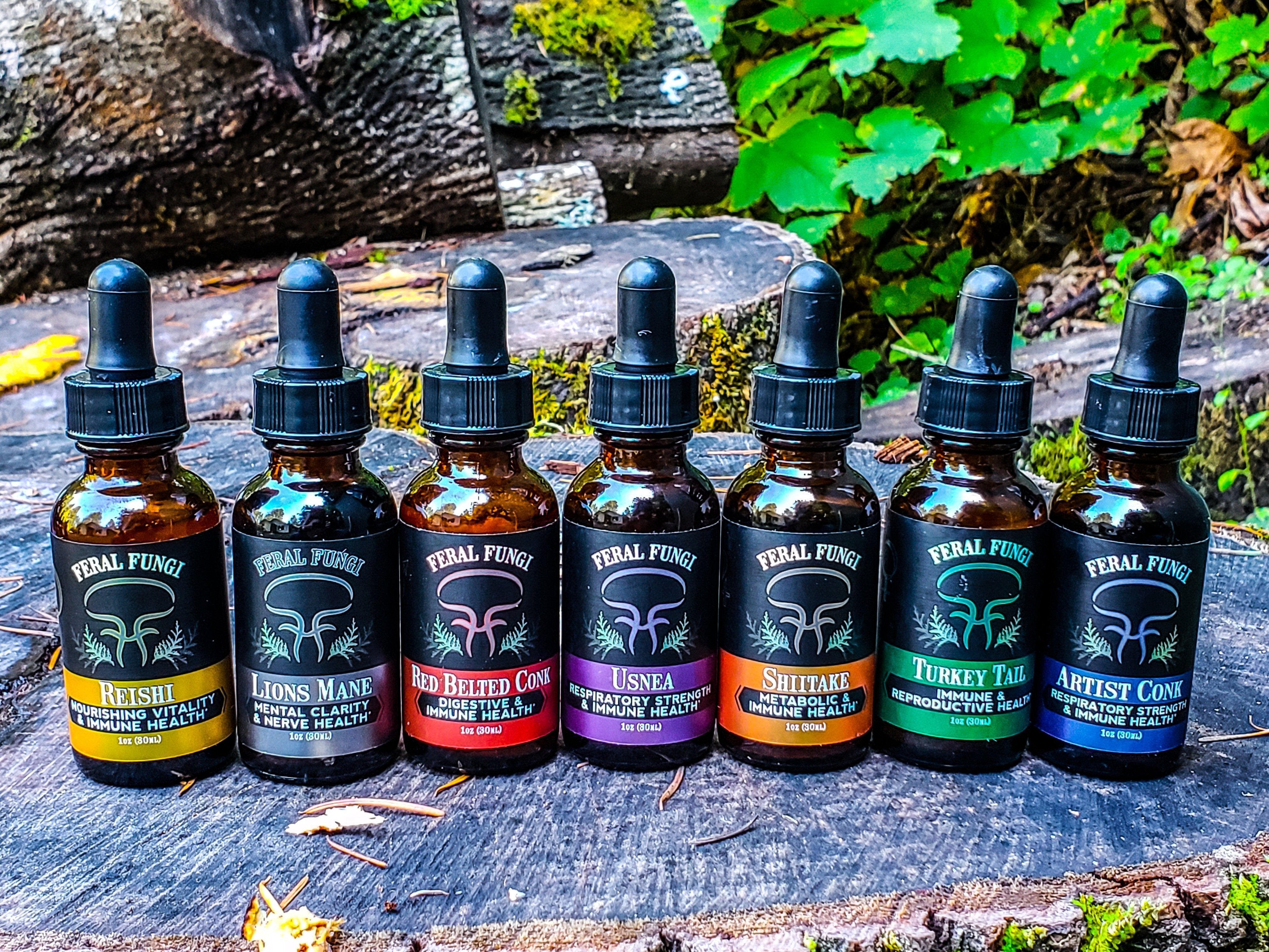 Feral Fungi | Pure Spagyric Mushroom Tinctures – 100% Fruiting Bodies